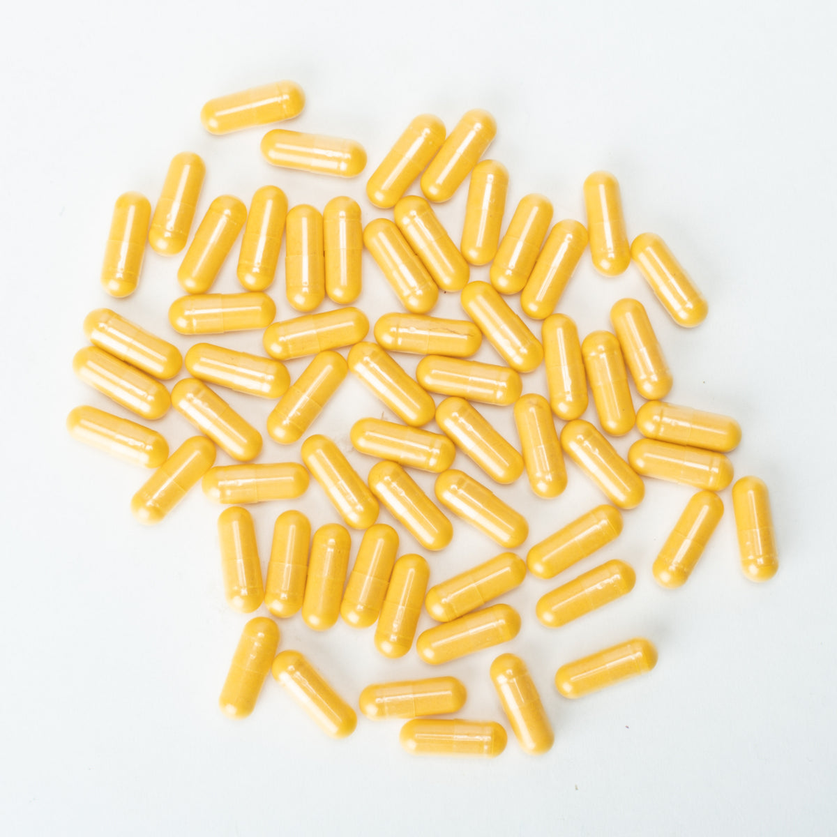 Estro Protect by Body Software – The Hall Center